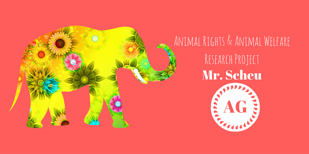 AG: Animal Rights & Animal Welfare Research Project – Reedy Library