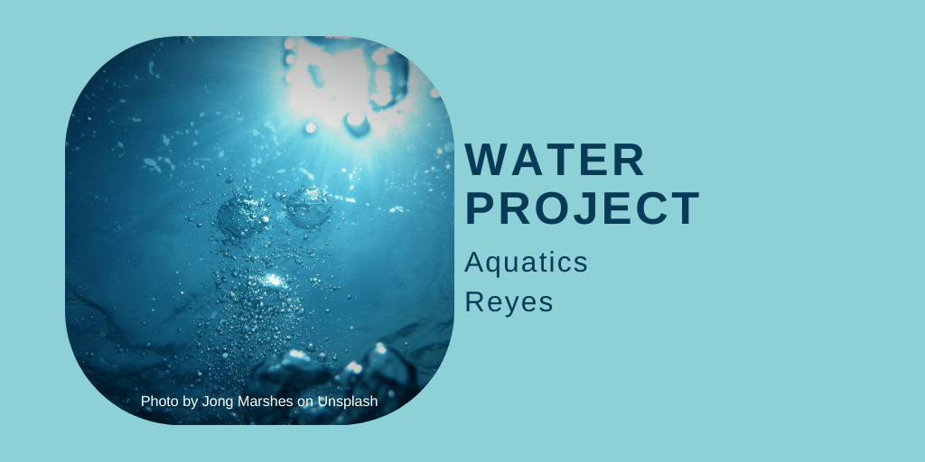Aquatics: Water Project – Reedy Library
