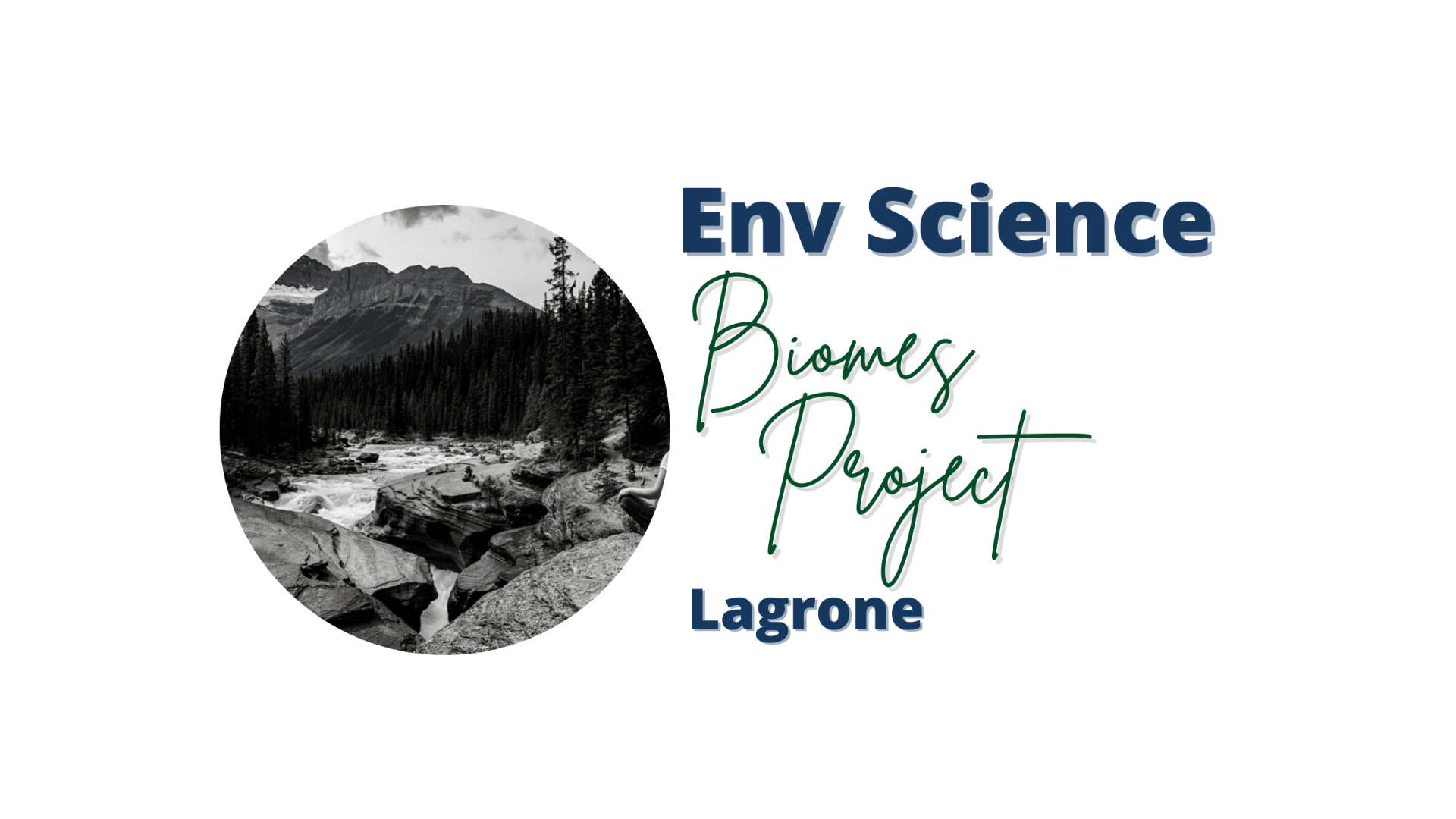Reedy Library | Env Sci: Biomes Project